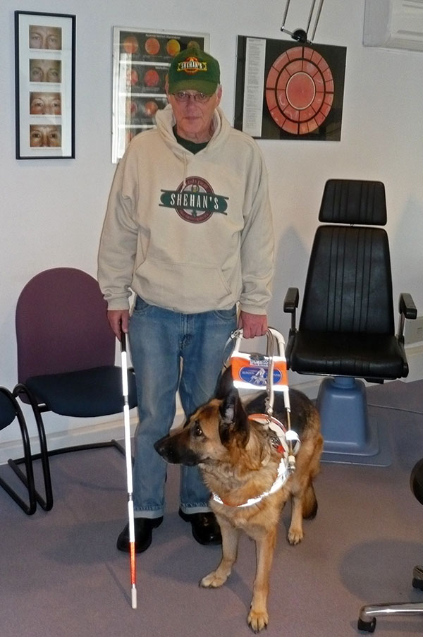 Blindenhund | Auge Online